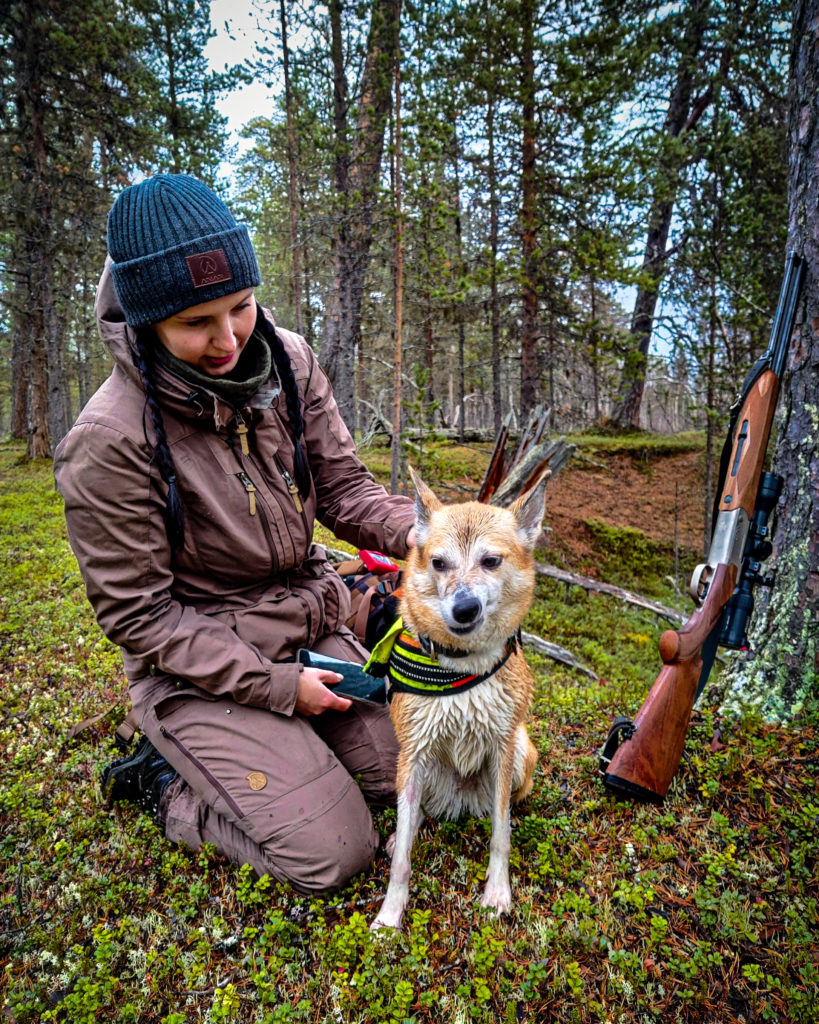 Fågeljakt med hund Tiitu - Metsästäjälehti