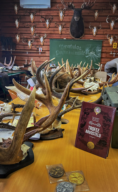 Trofeiden mittaus antaa tietoa riistakannasta - Metsästäjälehti