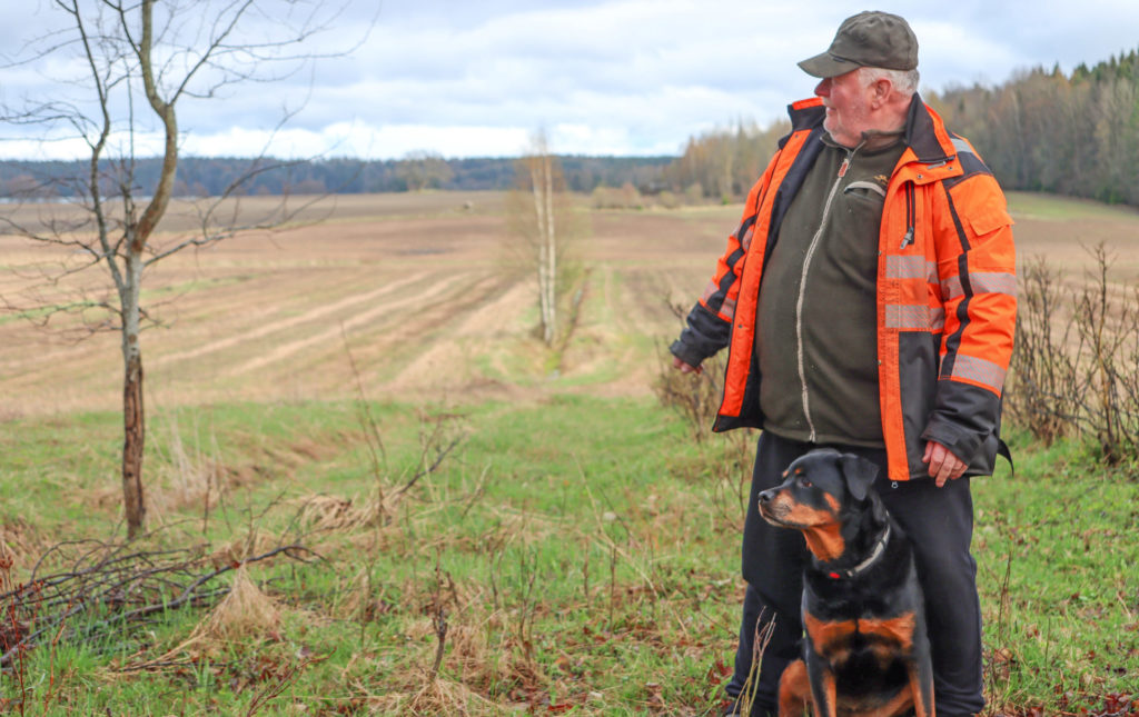 Valkohäntäpeura on arvokas riistaeläin - Metsästäjälehti