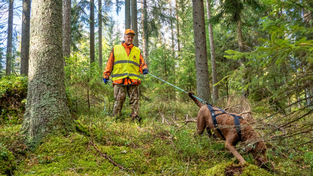 Onko SRVA-toimijan vakuutusturva kunnossa? - Metsästäjälehti